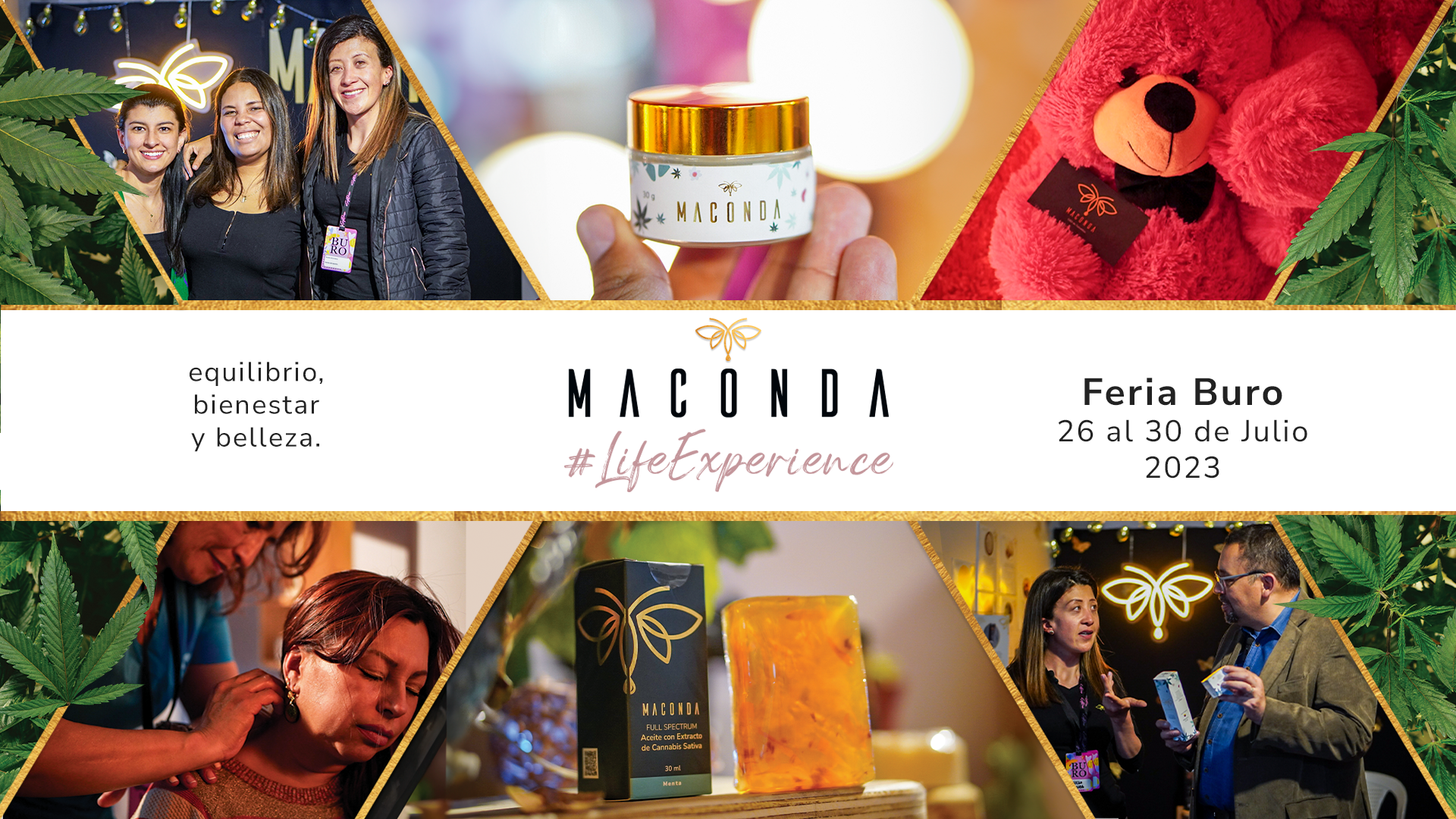 MACONDA LIFE EXPERIENCE
